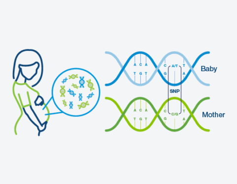 Panorama – Non-Invasive Prenatal Testing (NIPT) | Natera