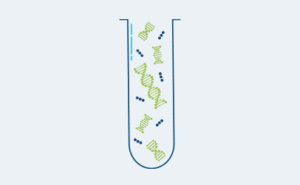 Signatera – Circulating Tumor DNA Blood Test | Natera