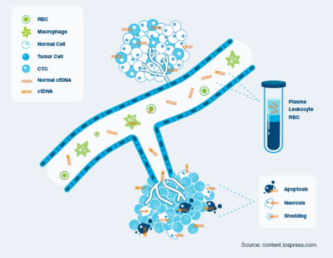 Signatera – Circulating Tumor DNA Blood Test | Natera