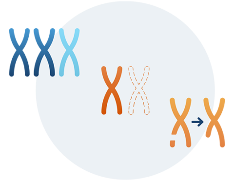 Testing for Chromosomal Abnormalities with the Anora Miscarriage Test