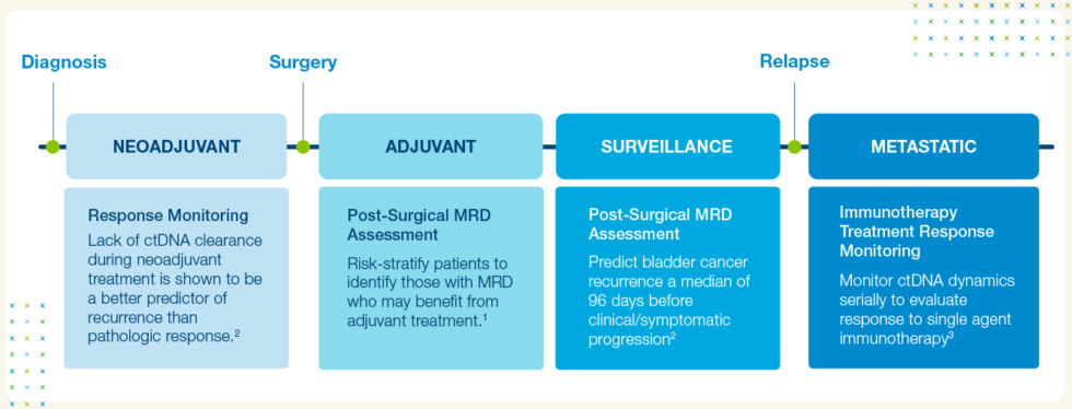 ctDNA Testing for Bladder Cancer – Signatera
