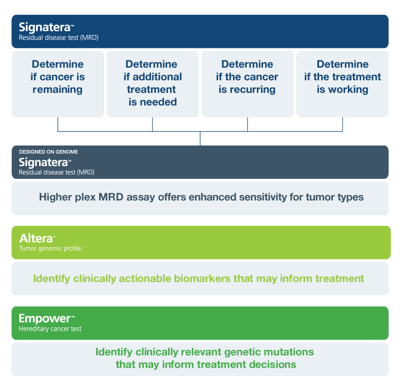 Breast Cancer Recurrence Screening Blood Test – Signatera